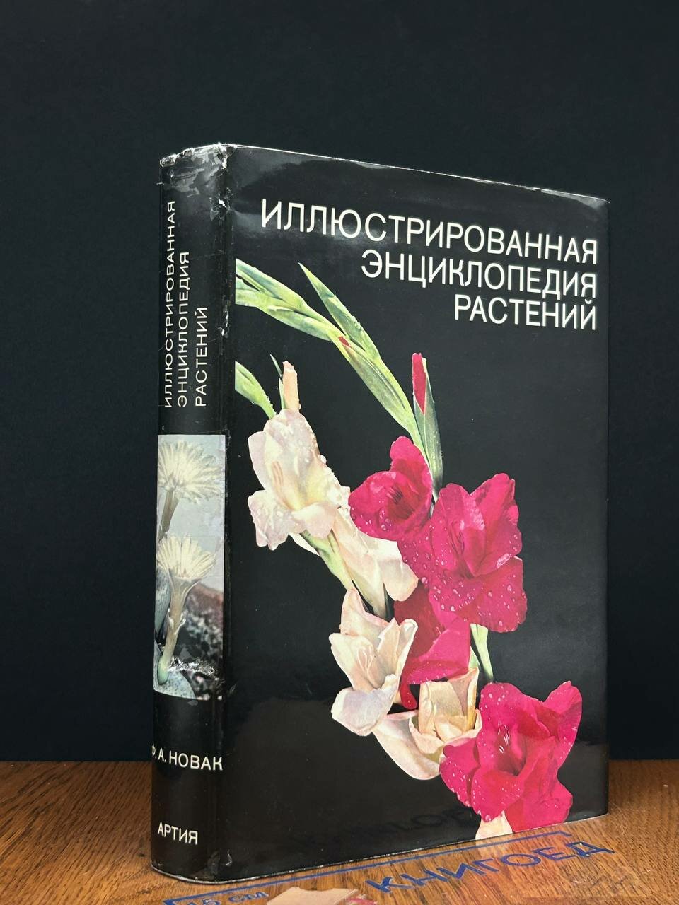 Книга. Иллюстрированная энциклопедия растений 1982 (2044761762072)