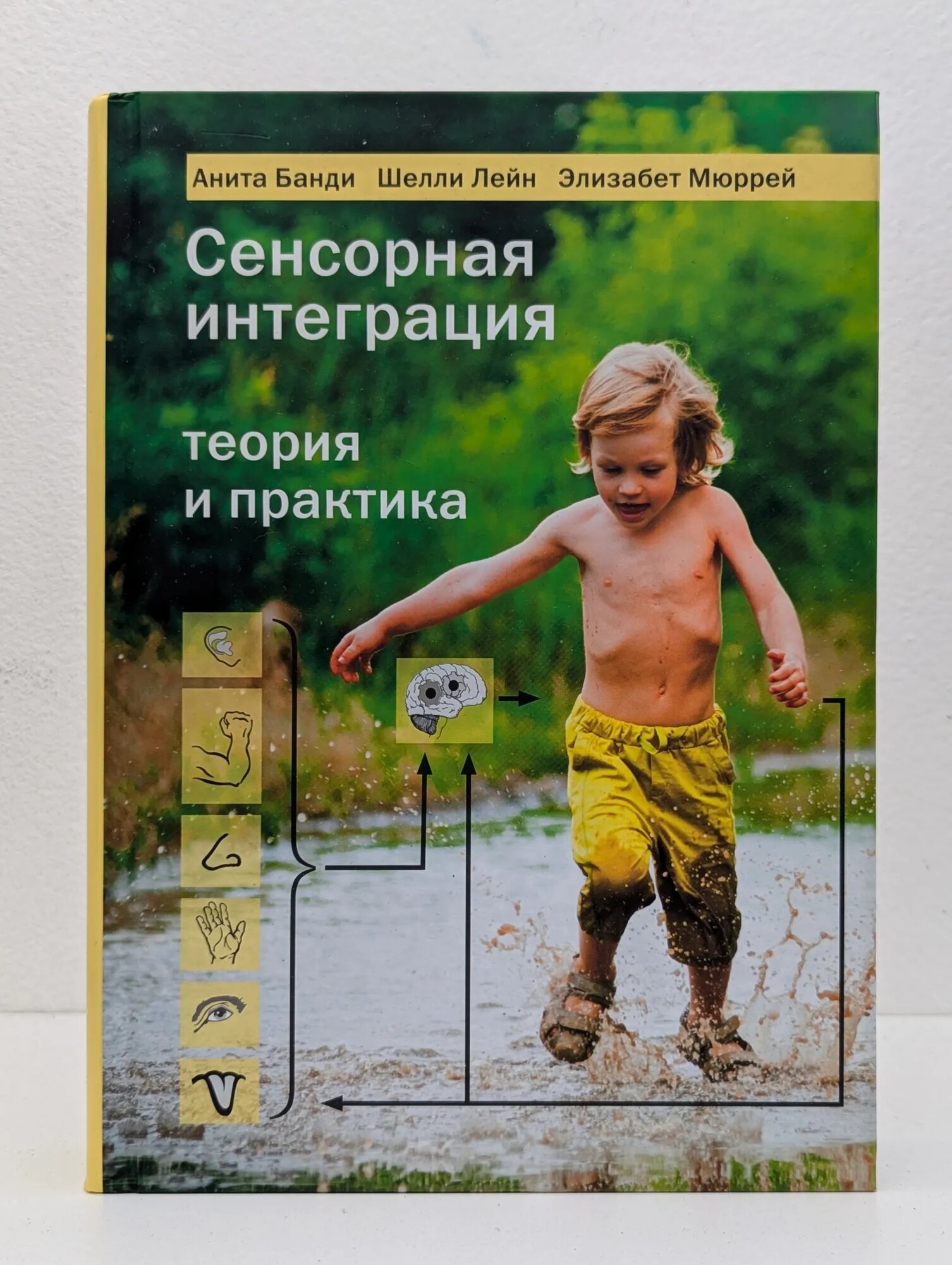 Сенсорная интеграция. Теория и практика Банди Анита, Лейн Шелли, Мюррей Элизабет 2017