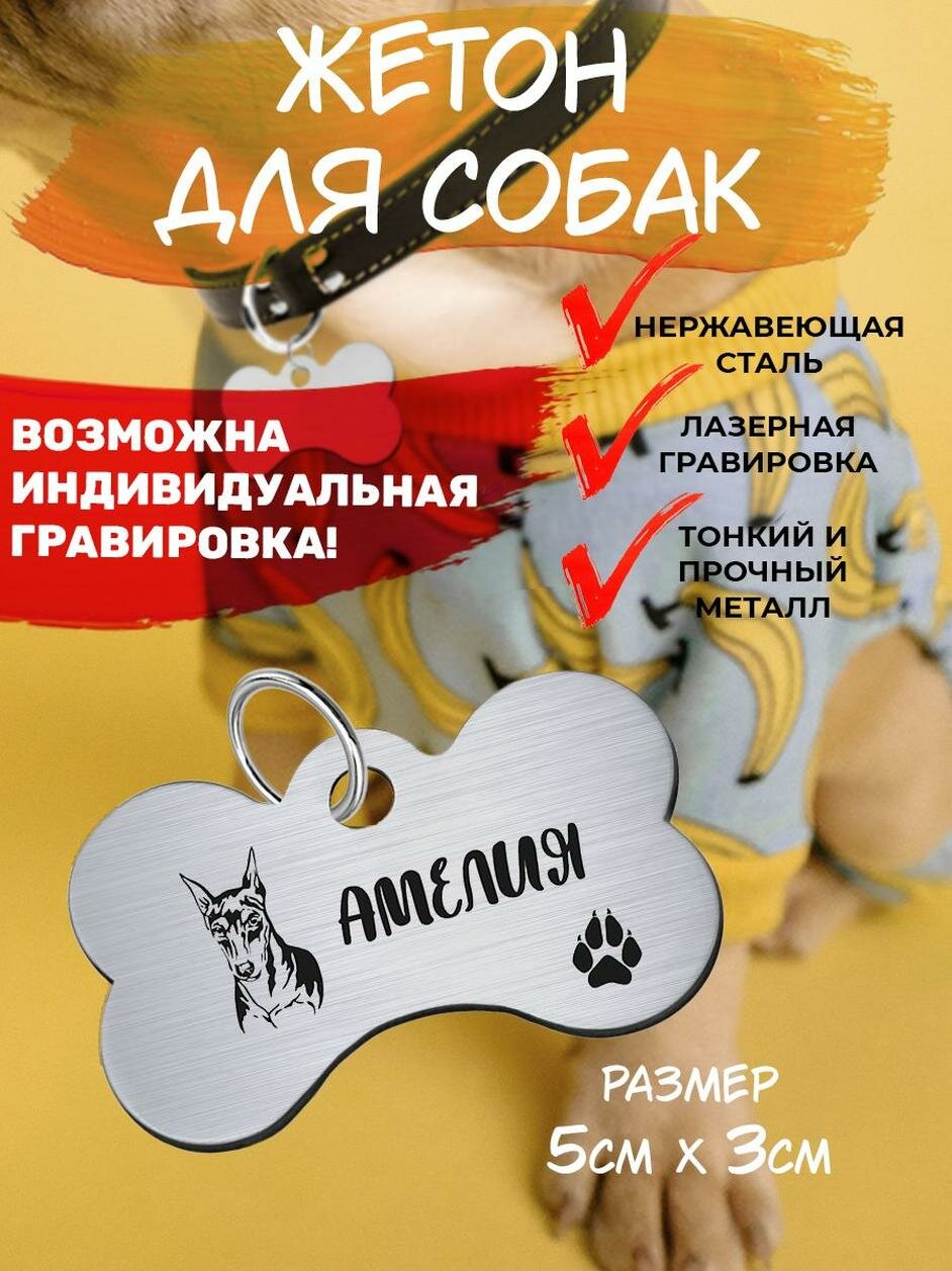 Брелок для собак с гравировкой, серебристый, Цвергпинчер Амелия