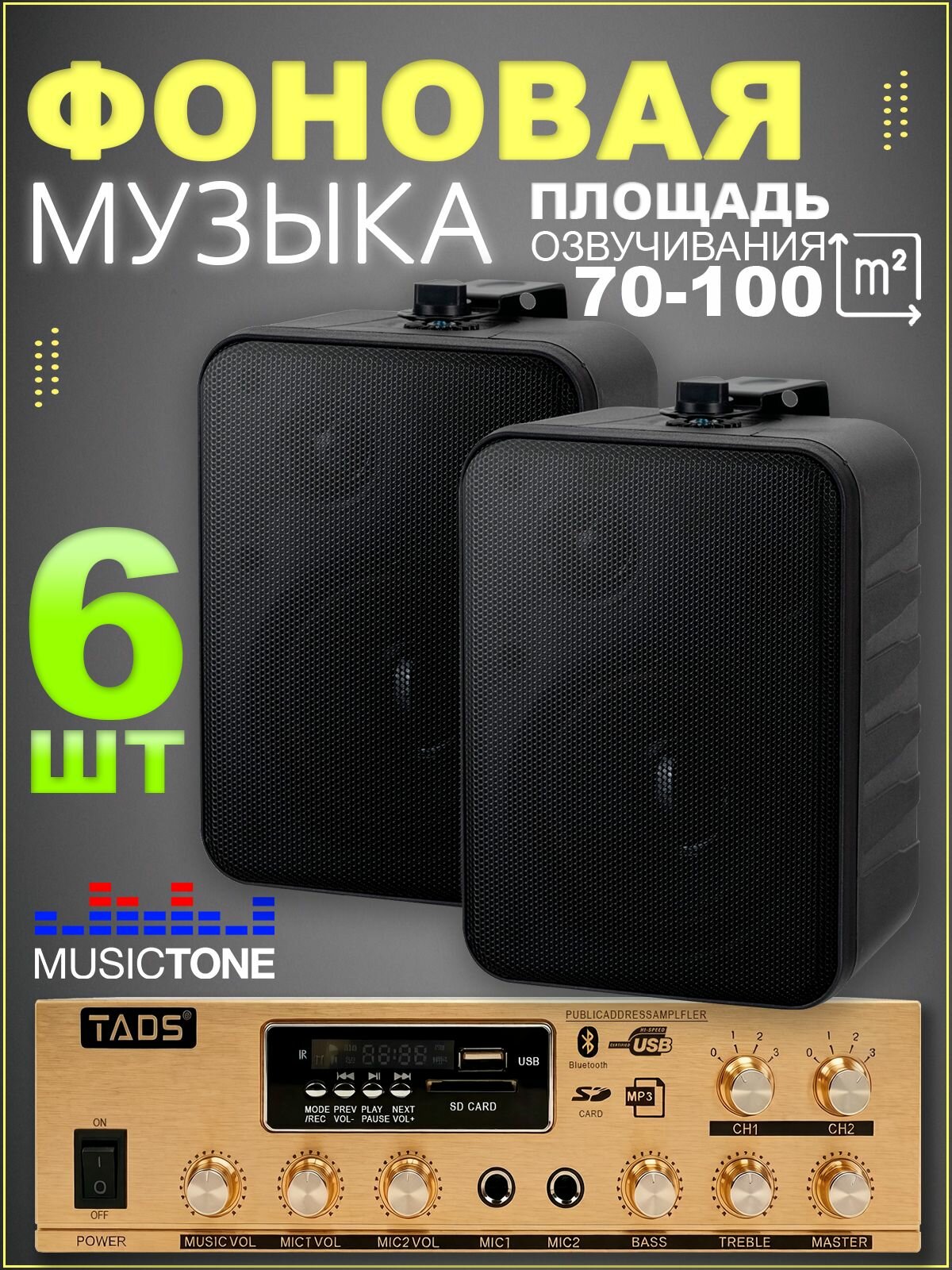 Акустика для кафе MusicTone MT02B-6