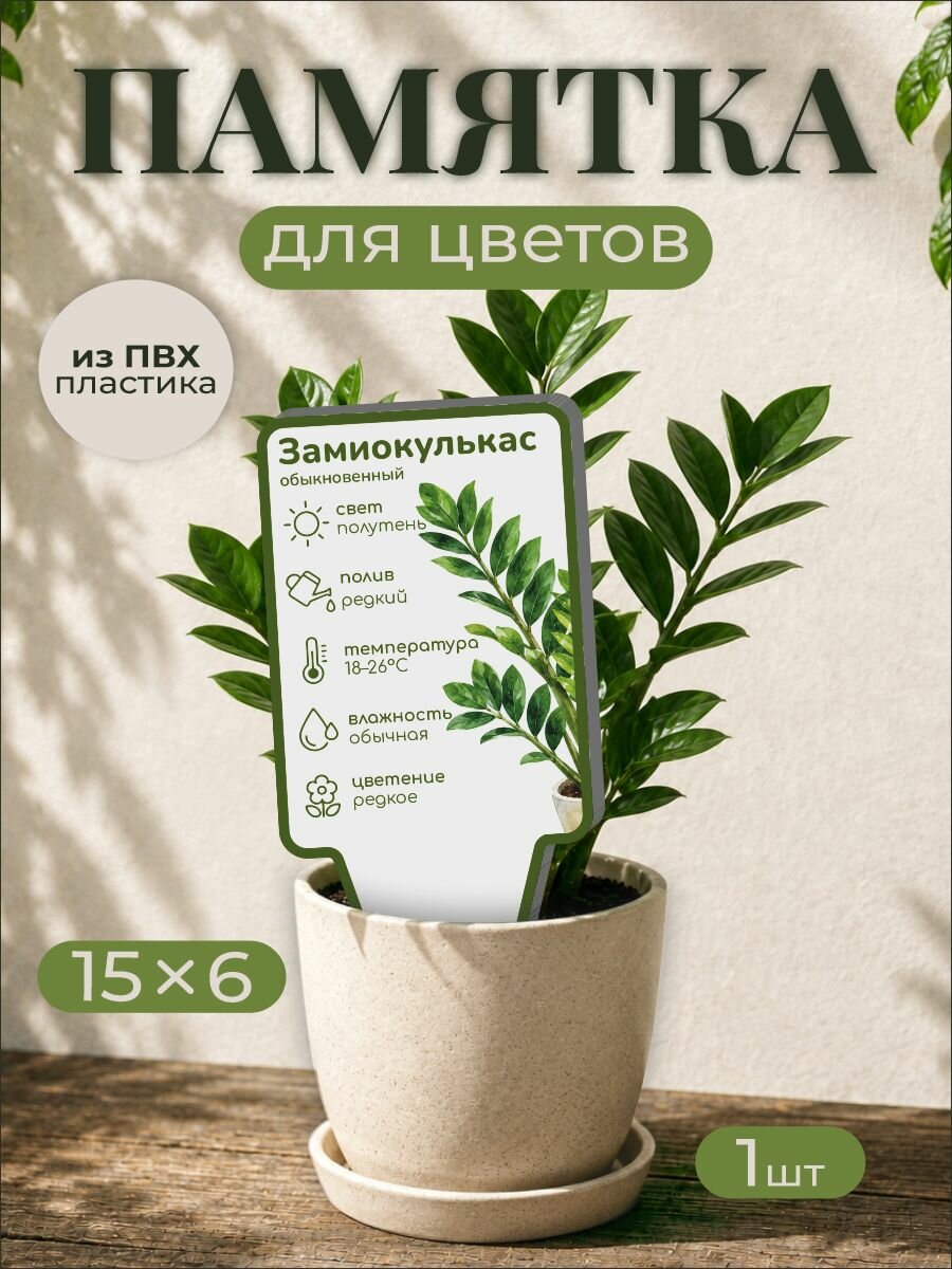 Фигурки для сада Замиокулькас