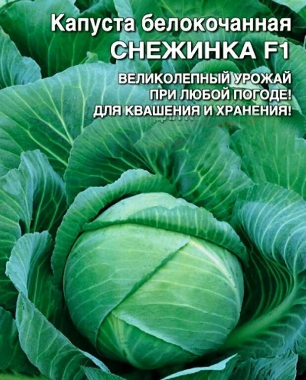 Коллекционные семена капусты б/к Снежинка F1