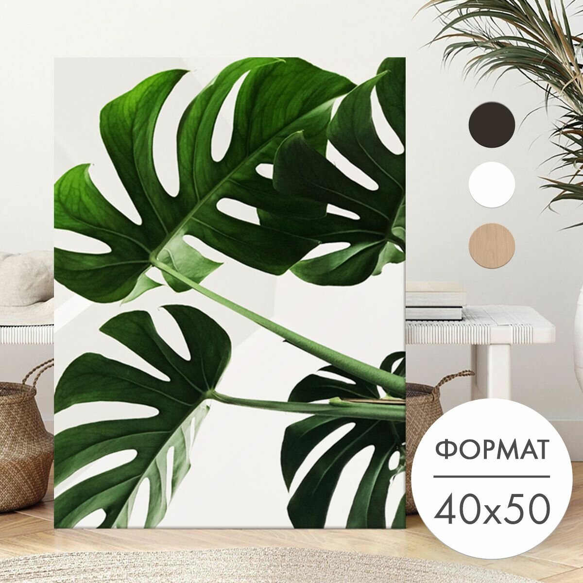 Постер 40х50 без рамки "Монстера зеленые листья" для интерьера