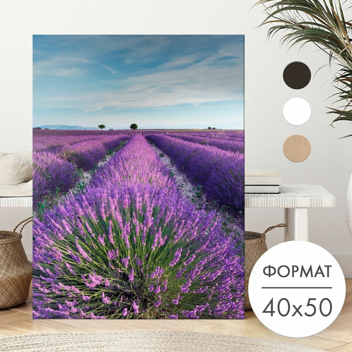 Постер 40х50 без рамки "Лавандовое поле" для интерьера