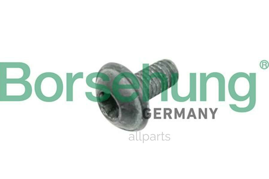 BORSEHUNG B10635 болт с внутренним torx! M6x12\ VW Transporter 11>