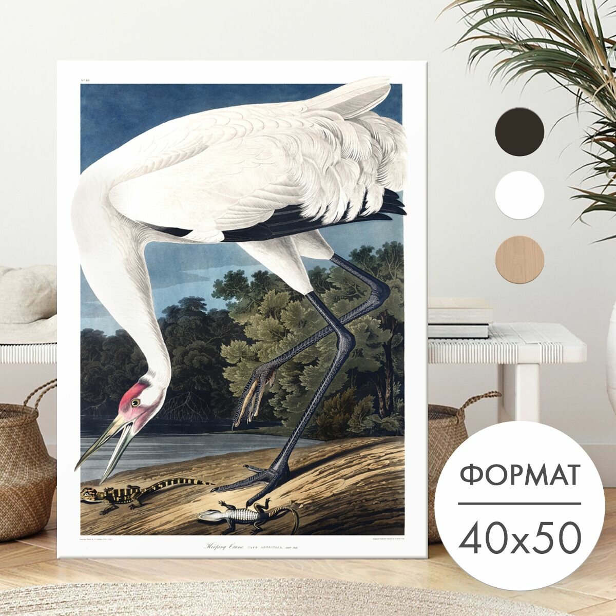 Постер 40х50 без рамки "Белая цапля" для интерьера