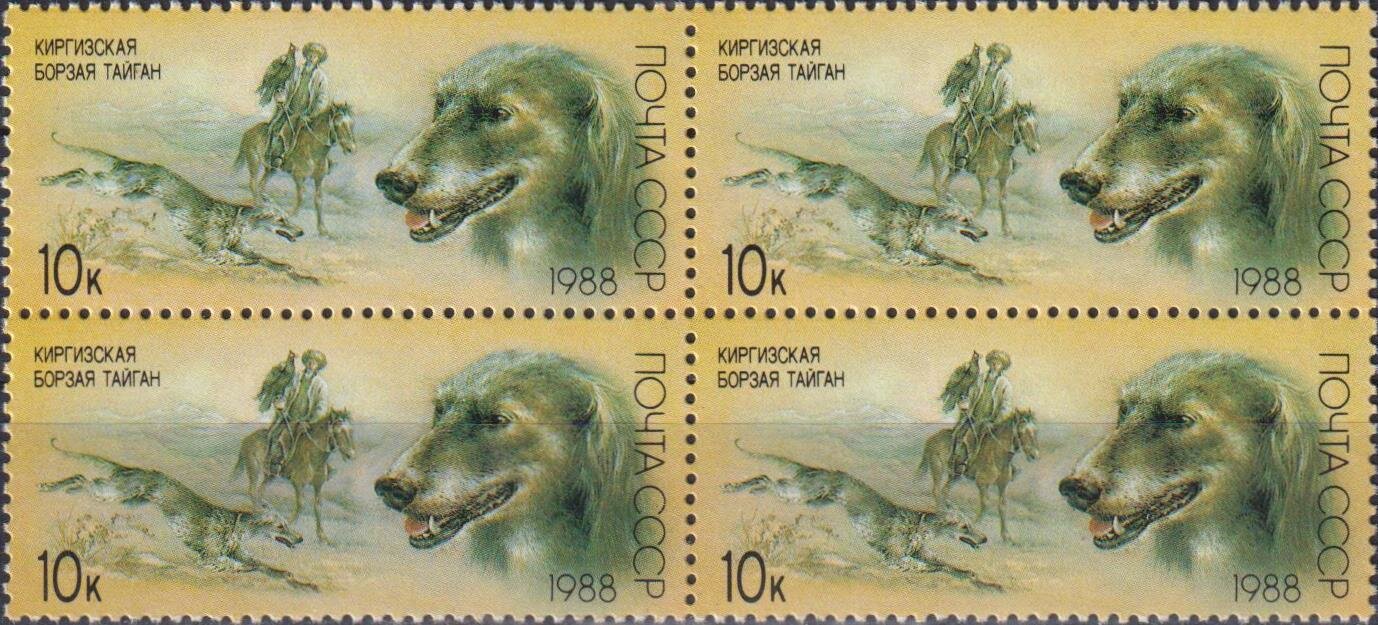 Почтовые марки СССР 1988г. "Киргизская борзая тайган" Собаки MNH