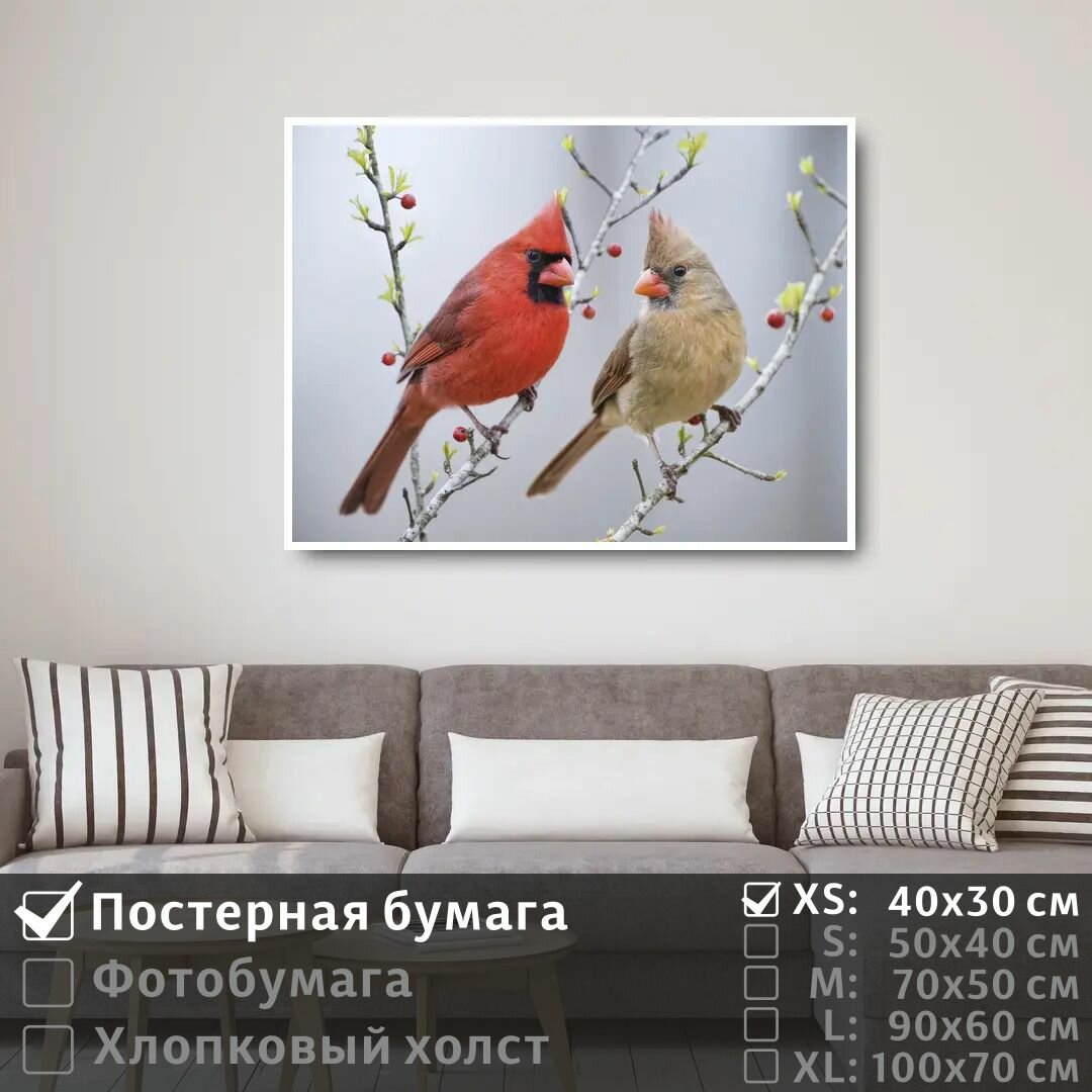 Постер на стену Две Хохлатые Птички Сидят На Ветке С Ягодами 40х30 см ПолиЦентр