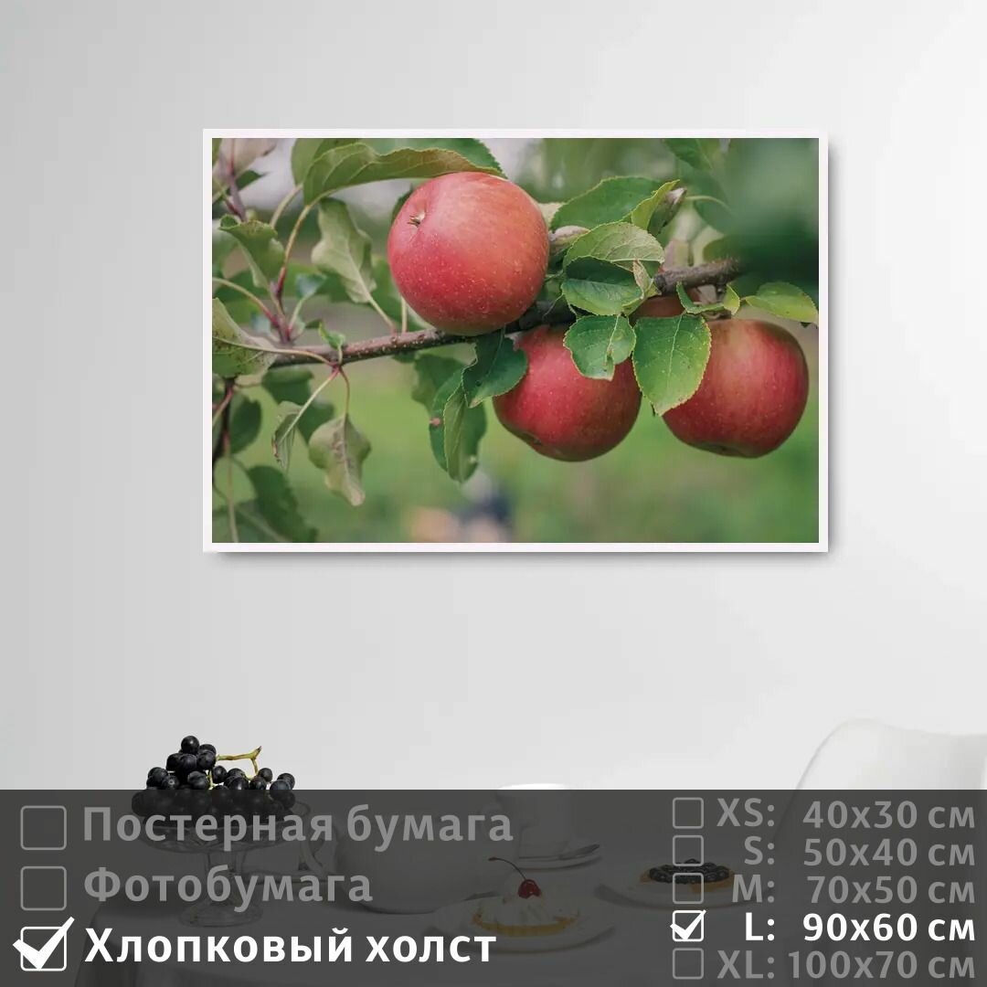 Постер на холсте Красные Яблоки На Ветке Яблони 90х60 см ПолиЦентр