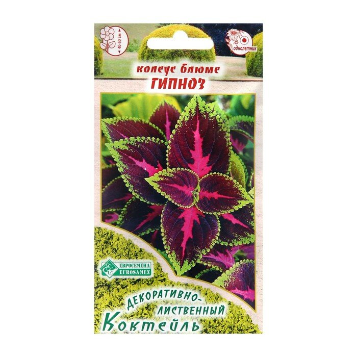 Семена цветов Колеус блюме «Гипноз», 3 шт, «Евросемена»