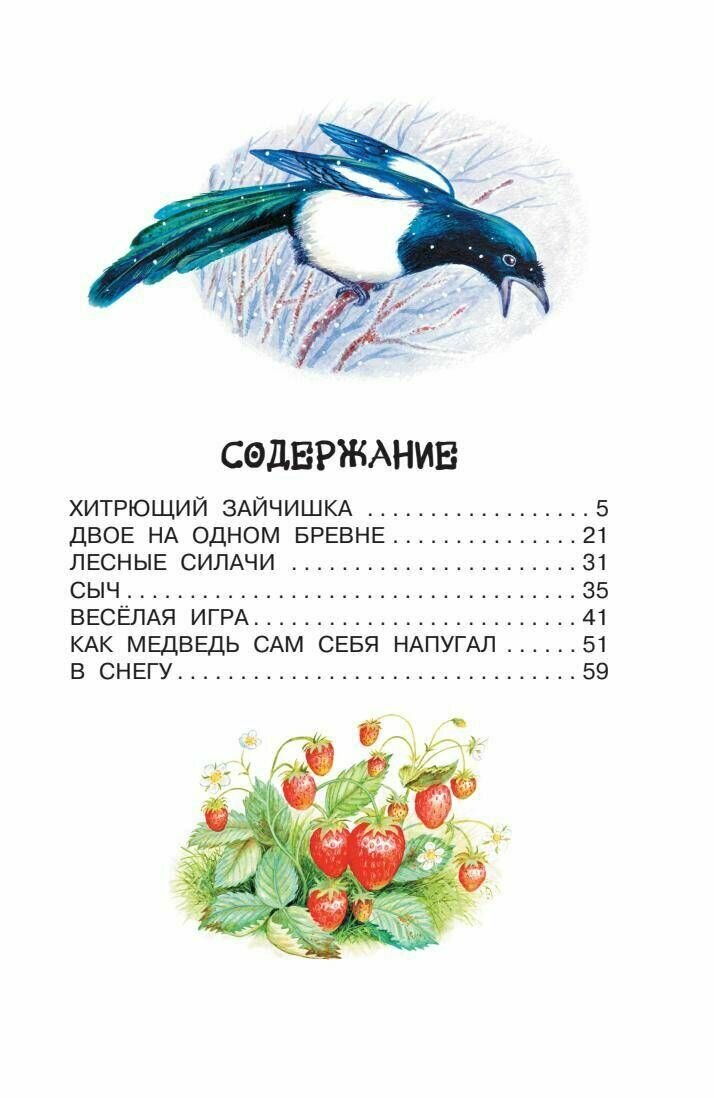 Лесные сказки — фото 1