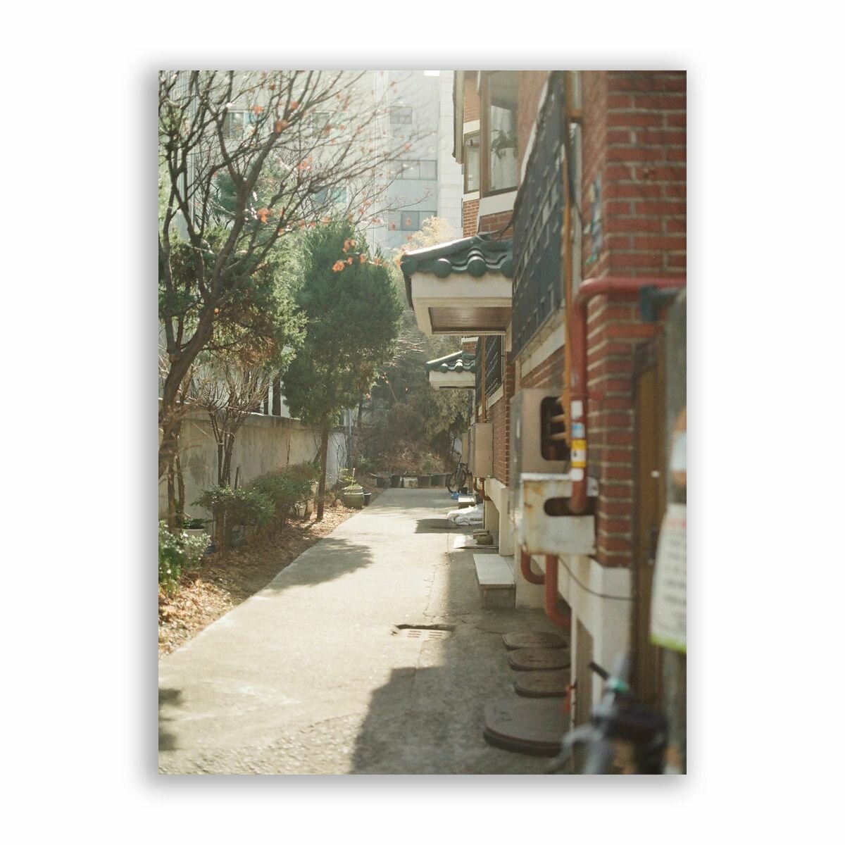 Постер, плакат на бумаге / Улицы Южной Кореи / Размер 30 x 40 см