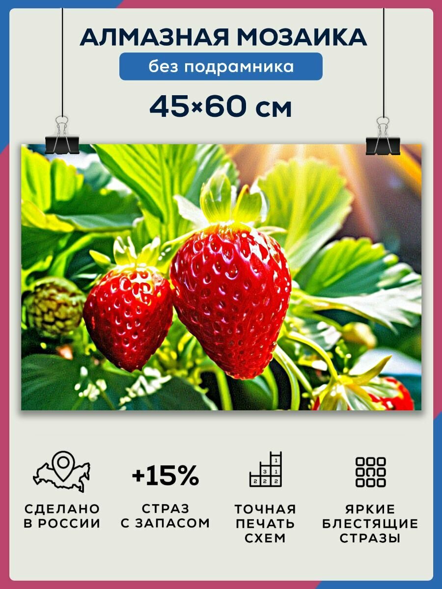 Алмазная мозаика 45x60 Клубника без подрамника