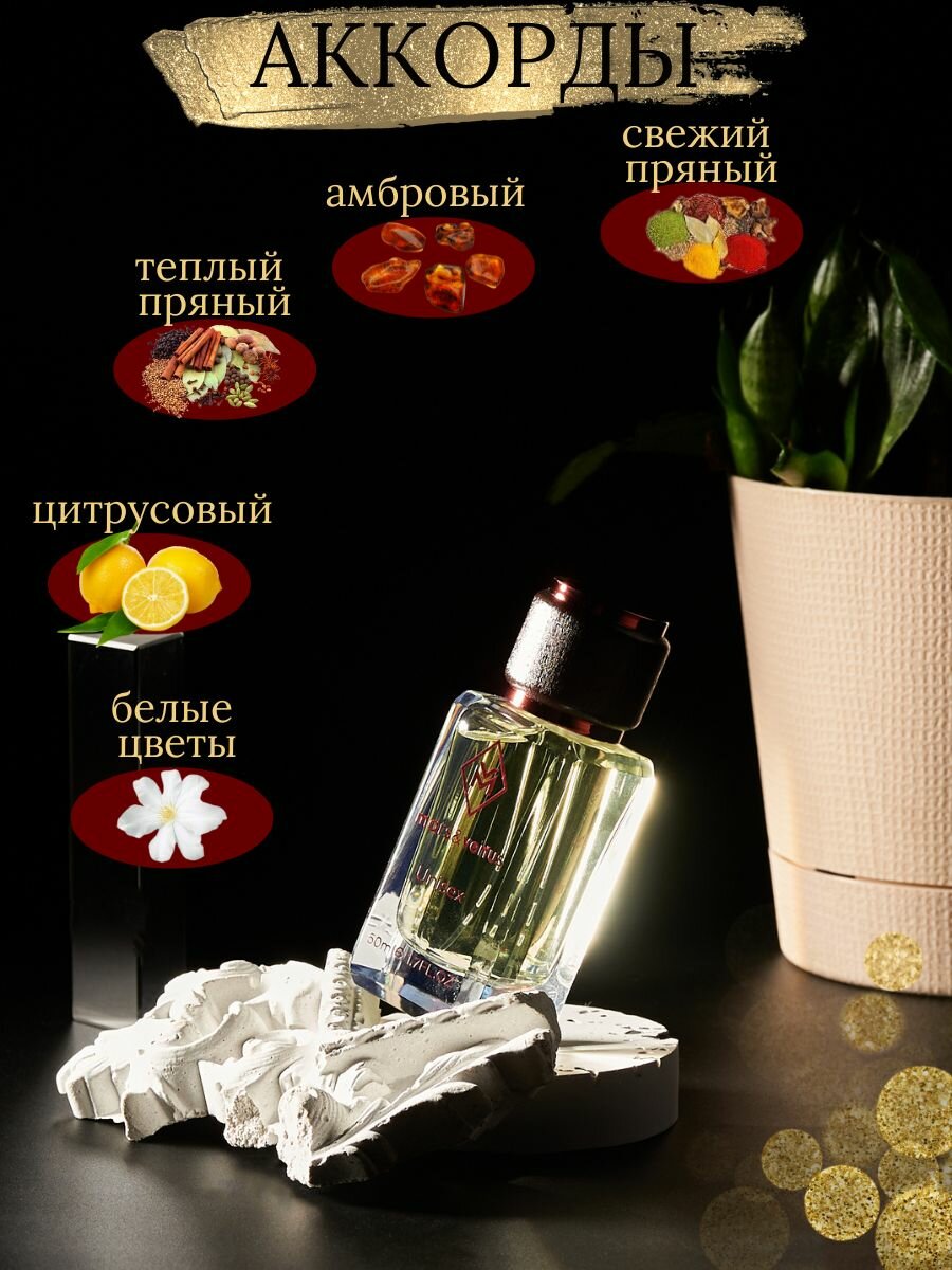 Mars&Venus Духи стойкие унисекс U019 Black Pepper / парфюмерная вода U019 Блек Пеппер, парфюм 50 мл с пряным и древесным ароматом / турецкие духи — фото 1