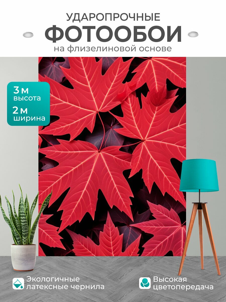 Фотообои моющиеся ударопрочные "Листья клена, яркого красного цвета" 200x300 см. флизелиновые на стену