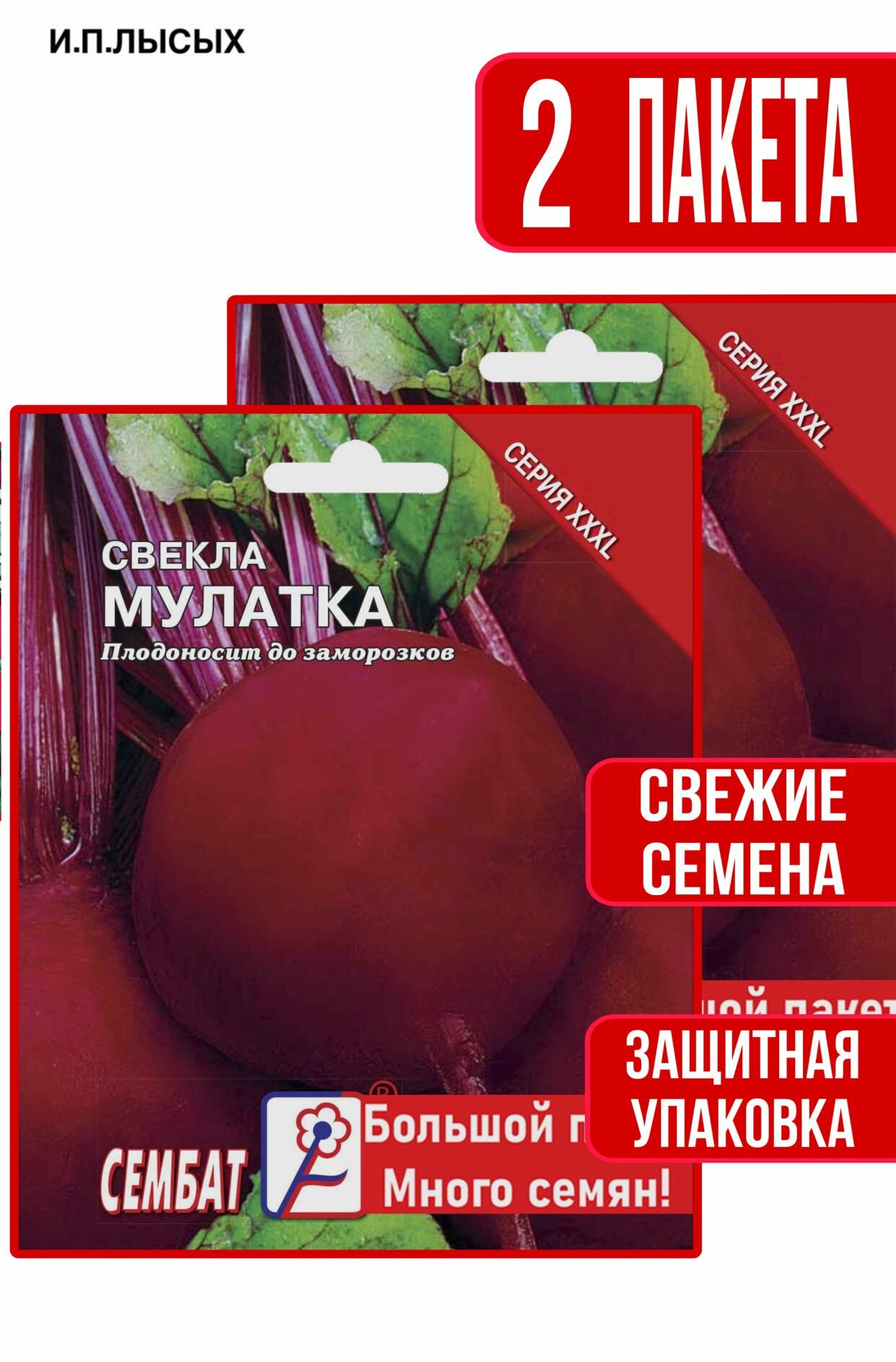 Семена Свекла Мулатка