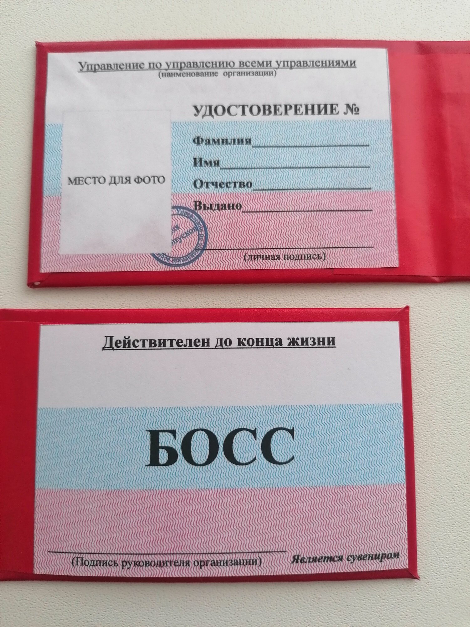 Удостоверение сувенирное ксива Босс