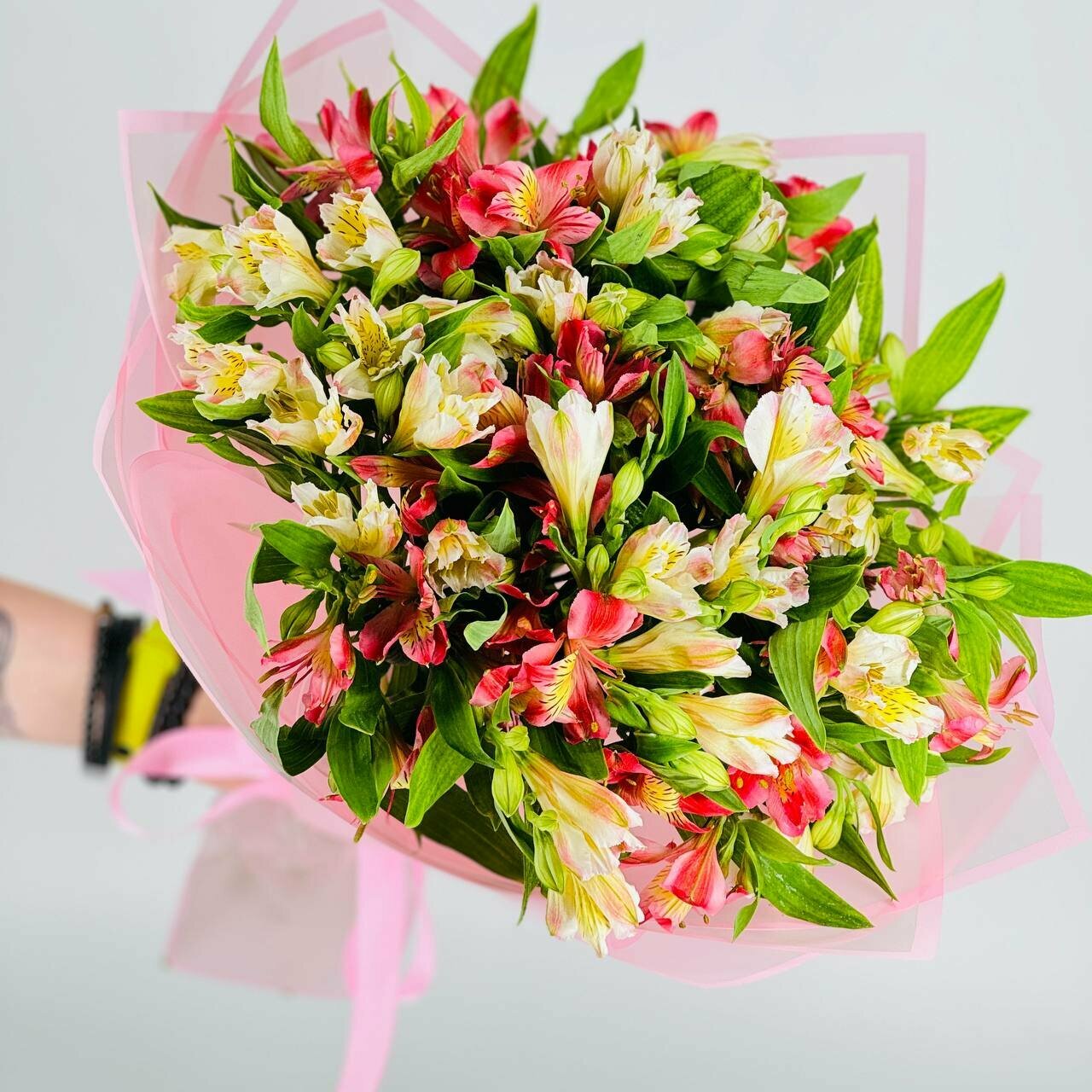 Моно букет из 21 альстромерии. Цветы для любимой девушки на 14 февраля и 8 марта