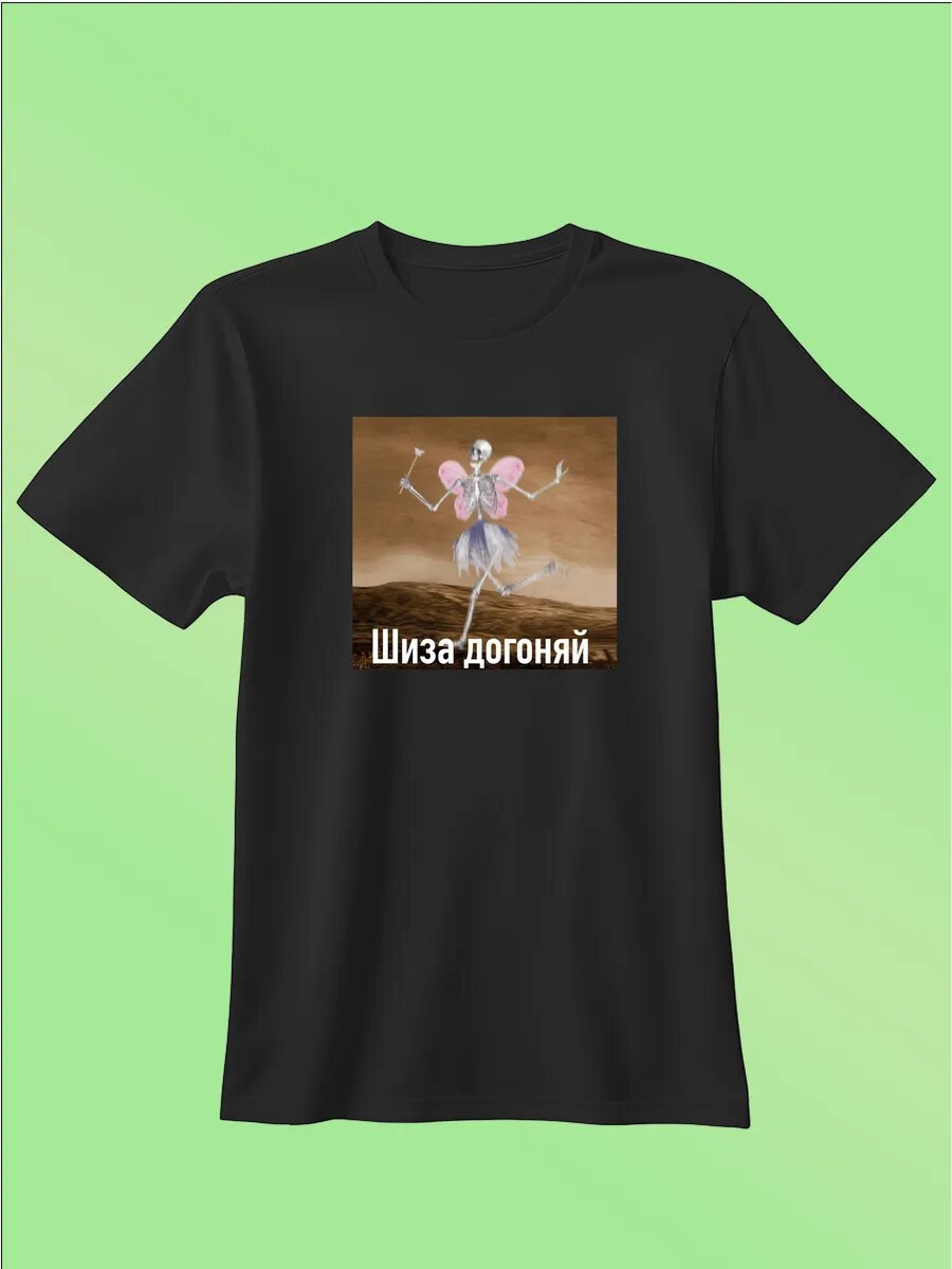 Футболка Zerosell прикольная с мемом шиза догоняй