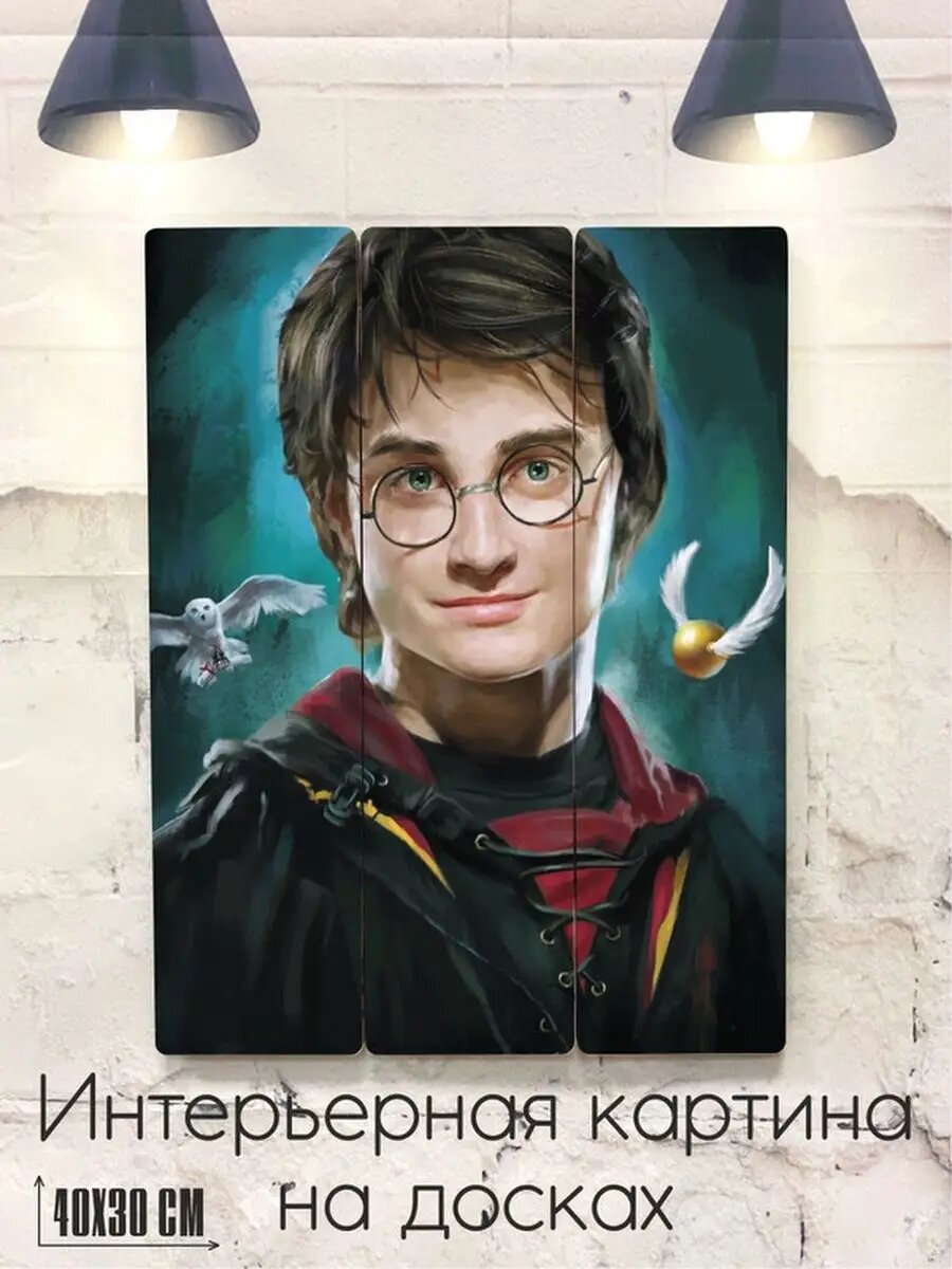 Интерьерная картина на досках, Гарри Поттер