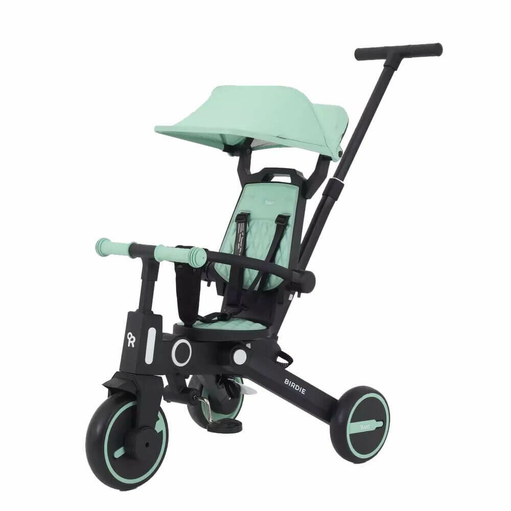 RANT Birdie RB202, детский трехколесный велосипед с 1,5 до 5 лет, цвет Mint