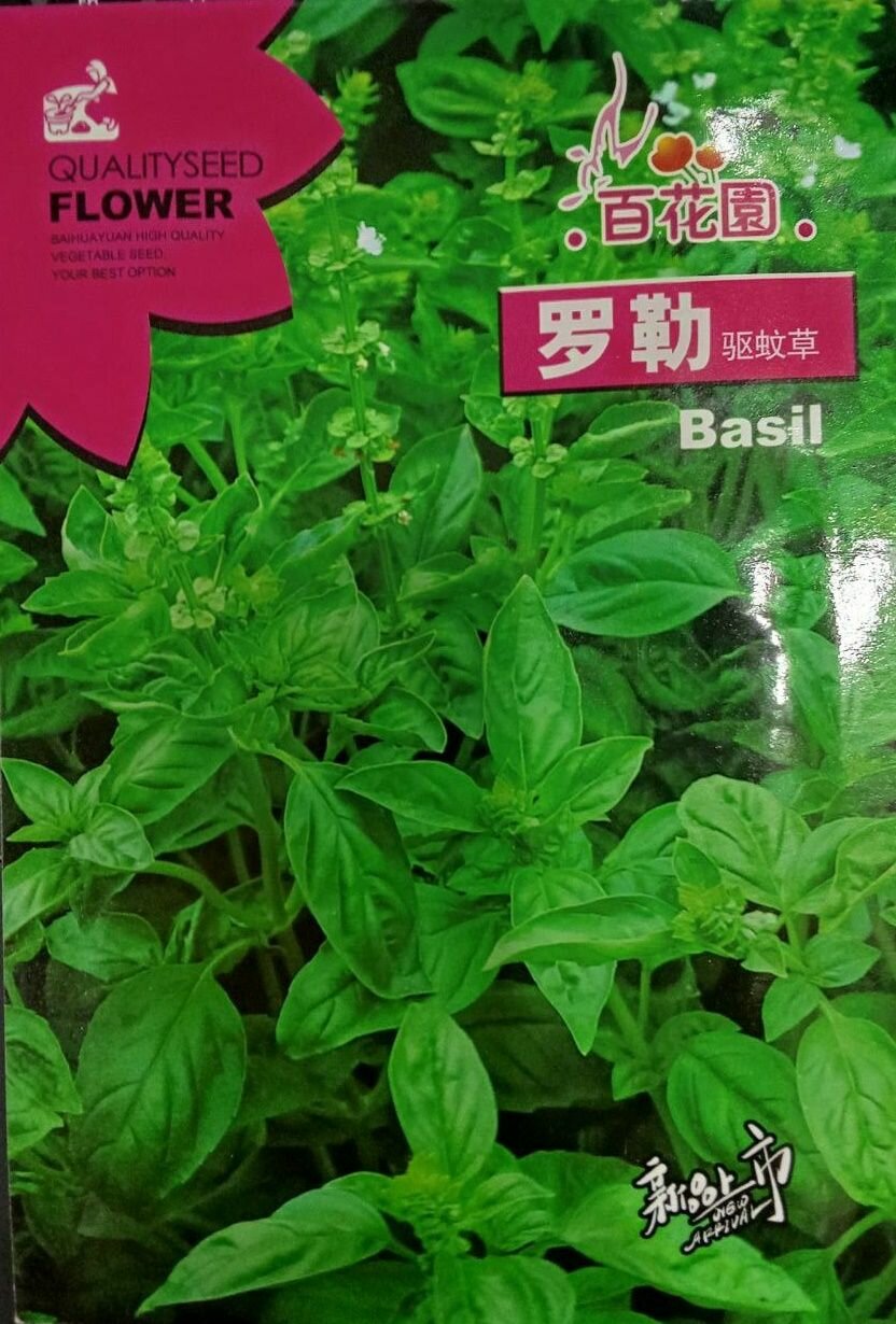 Семена китайского базилика