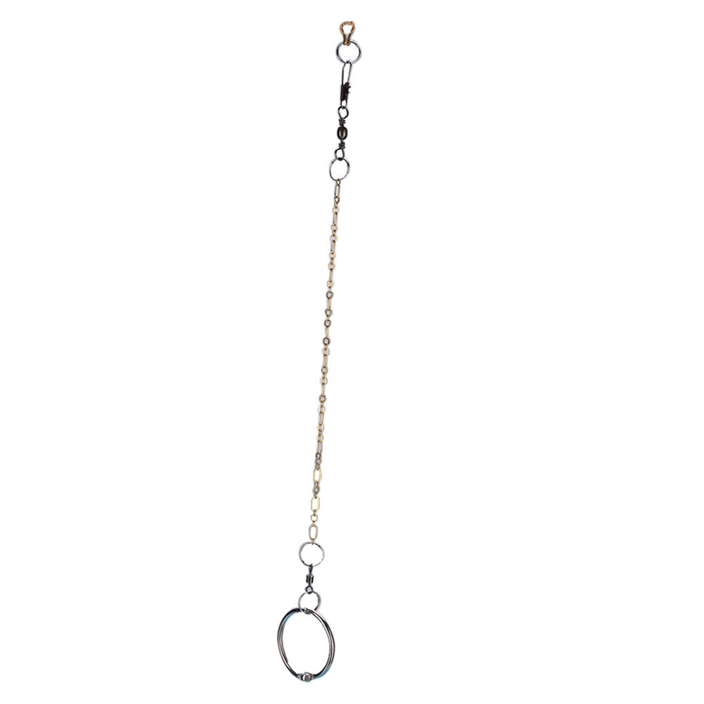 Stainless Steel Pet Birds Parrot Foot Chain Anklet Training Harness (Nymphicus hollandicus)