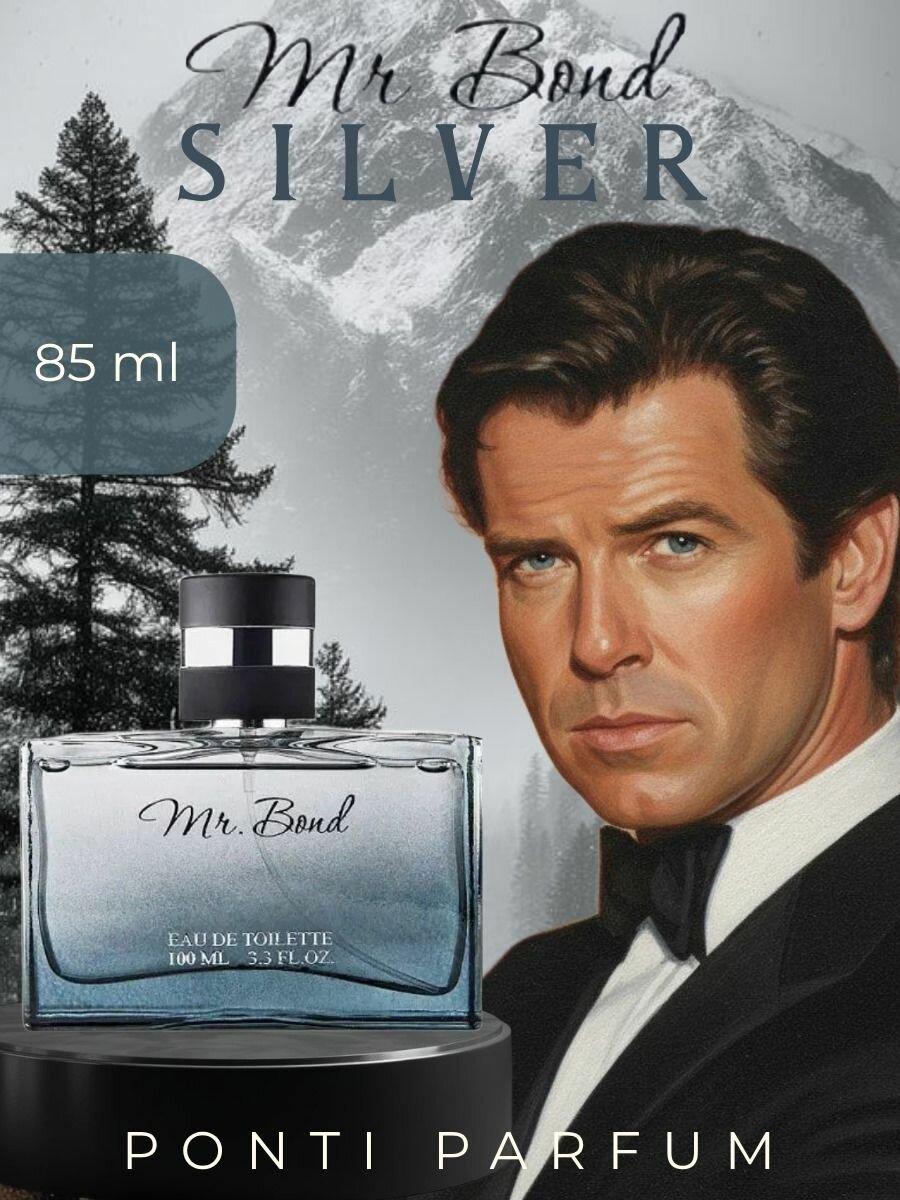 Туалетная вода мужская Mr. Bond SILVER парфюм для мужчин 100 мл.