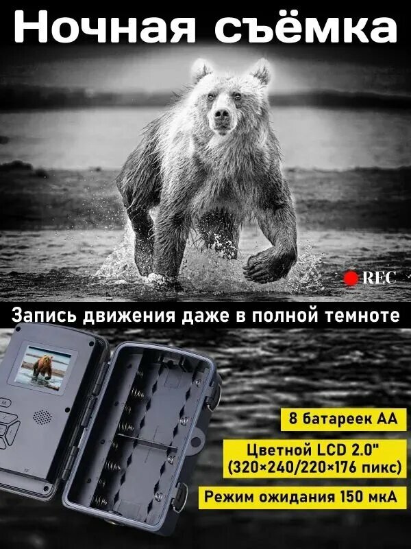 Фотоловушка — фото 1