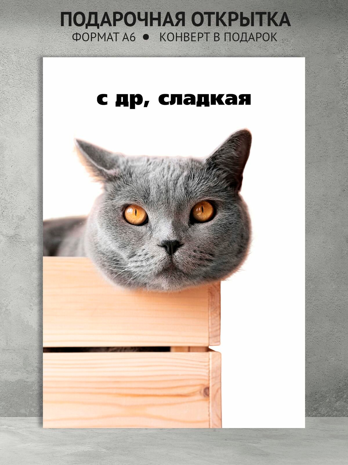 Подарочная открытка с уникальной иллюстрацией котик "С др, сладкая" с днем рождения, с юбилеем