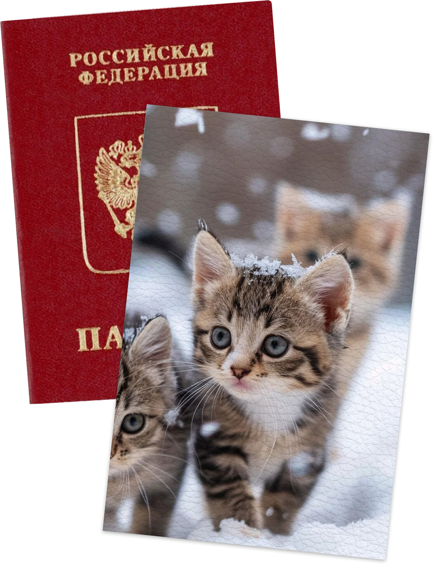 Обложка для паспорта
