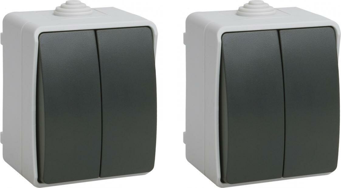 Выключатель двухклавишный IEK Форс для открытой проводки IP54 серый (комплект из 2 шт)