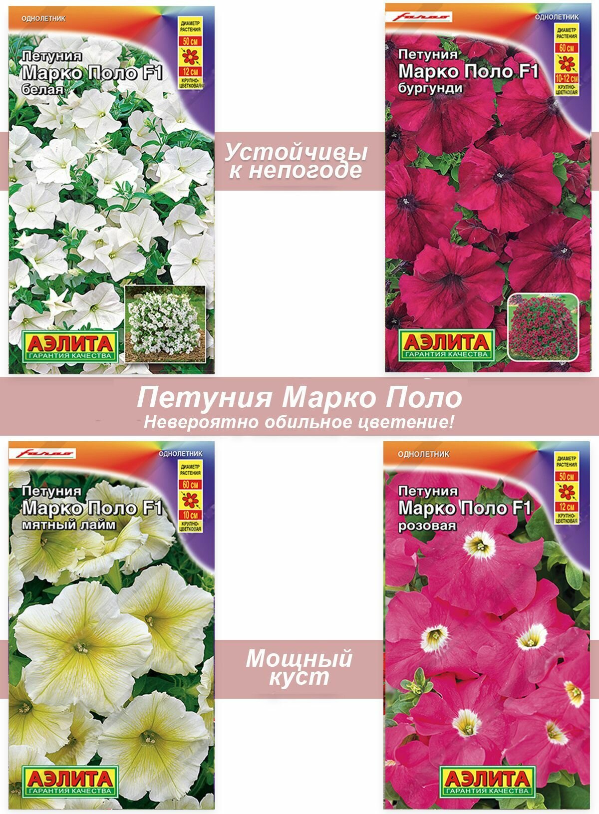 Семена цветов Петуния гибридная ампельная многоцветковая Марко Поло