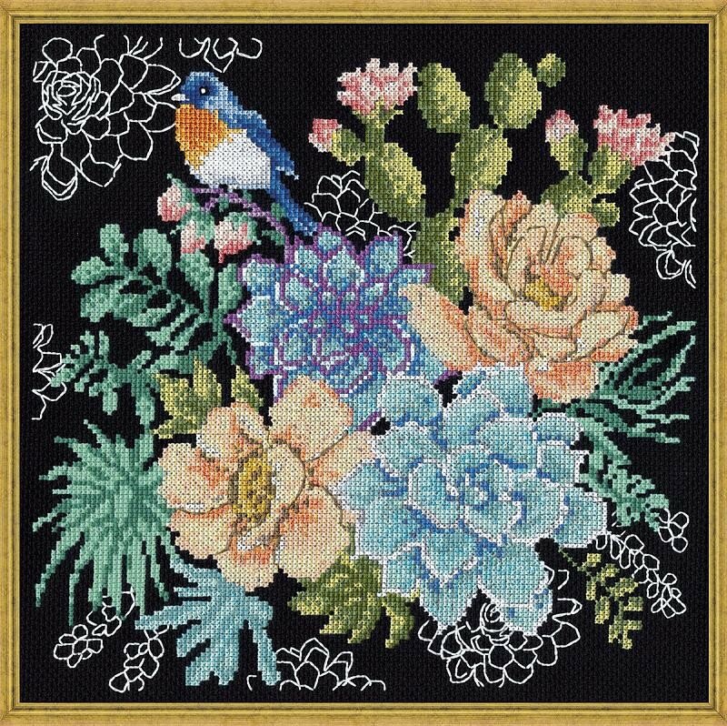 Суккуленты 3441