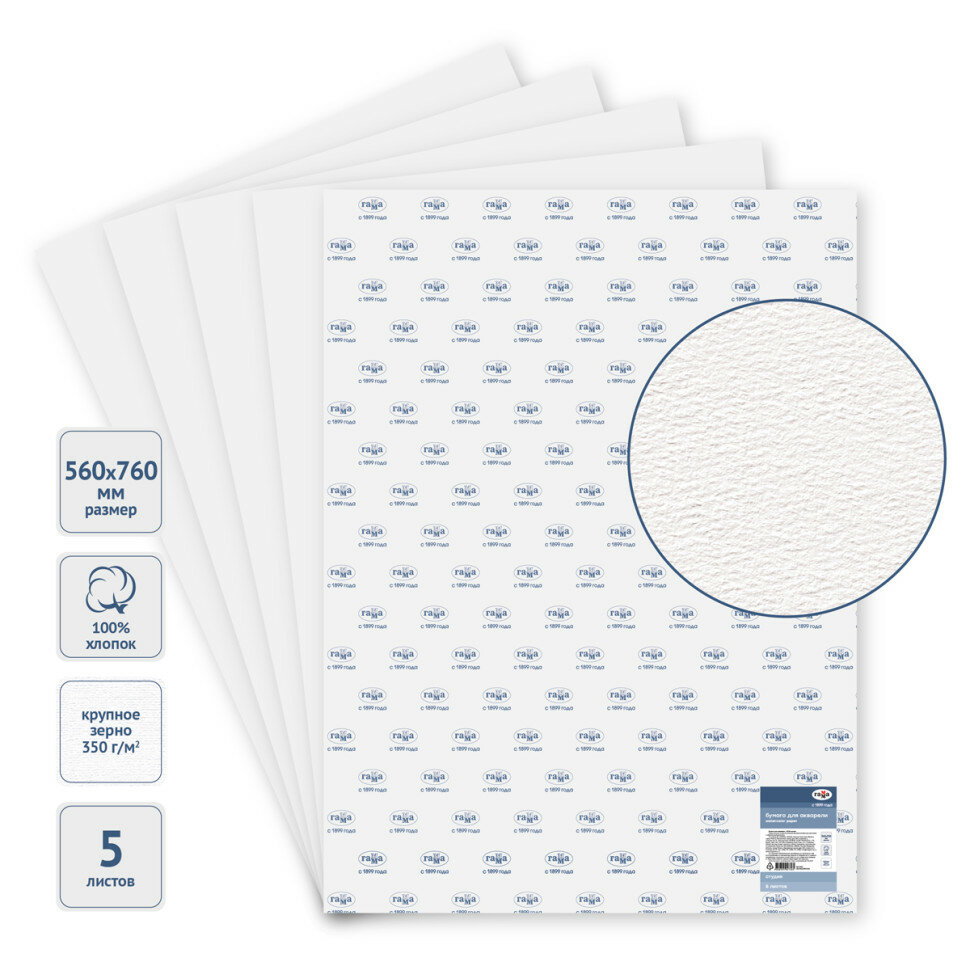 Бумага для акварели, 5л, 560*760мм, Гамма "Студия", 350г/м2, крупное зерно, 100% хлопок, 362601