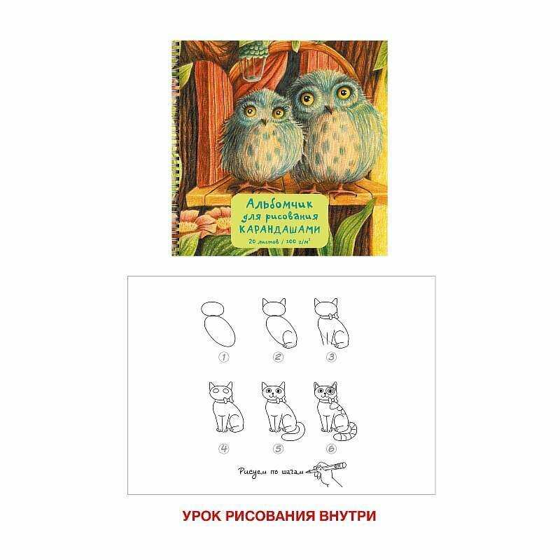 Альбом для рисования карандашами на гребне Совы 20л АС202472 6+