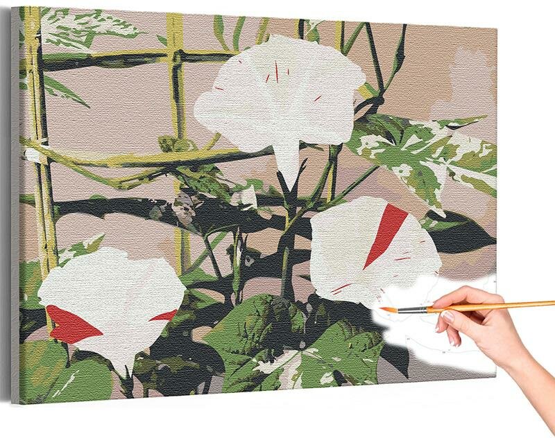 Японский вьюнок / Цветы Раскраска картина по номерам на холсте 40х50