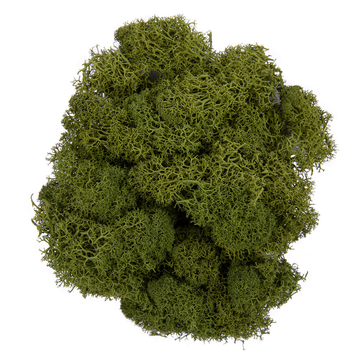 Blumentag BMSR-50 Мох стабилизированный окрашенный №04 хаки 50 г ±5 г для диорамы