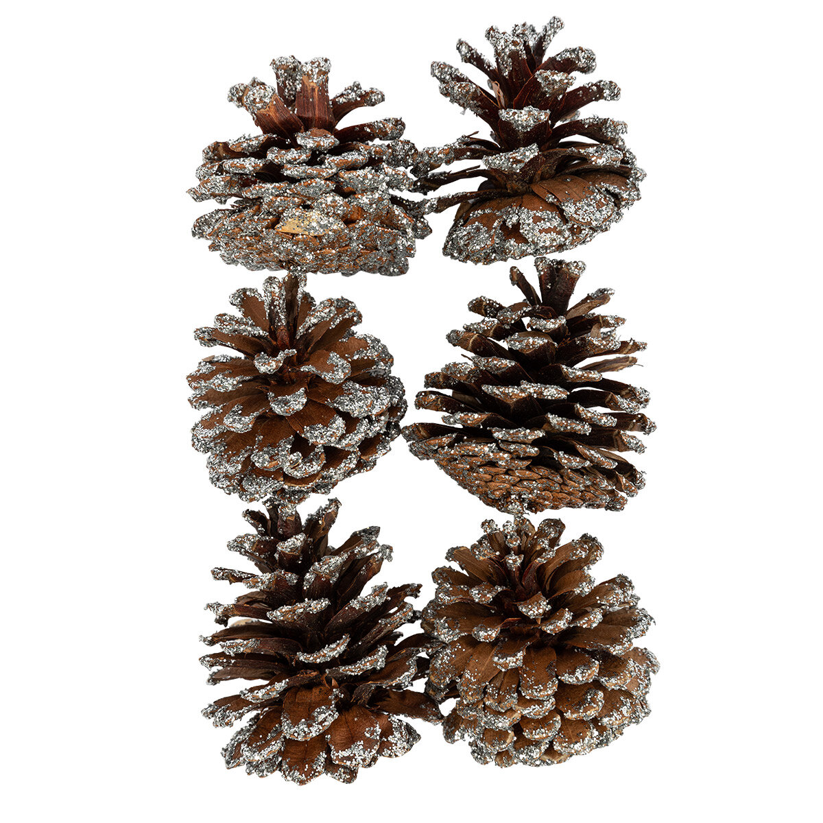 Blumentag CIF-02 Шишки 6 шт сосна под серебро декоративные элементы для флористики