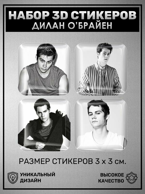 3D наклейки - стикеры / Набор объёмных наклеек 4шт. " Актер Дилан О Брайен Стайлз "