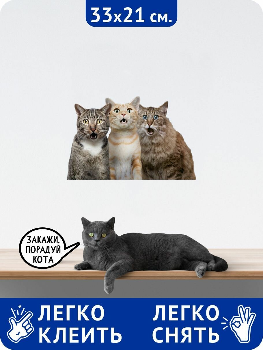 Наклейки на стену для декора - Милые животные, котик