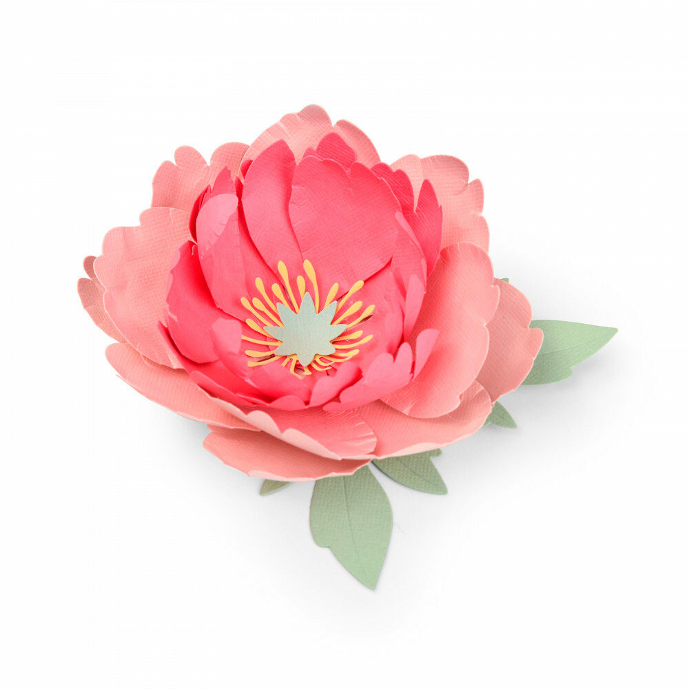 Sizzix 663593 Ножи для вырубки 5 шт. Пион Peony набор скрапбукинга открыток и альбомов