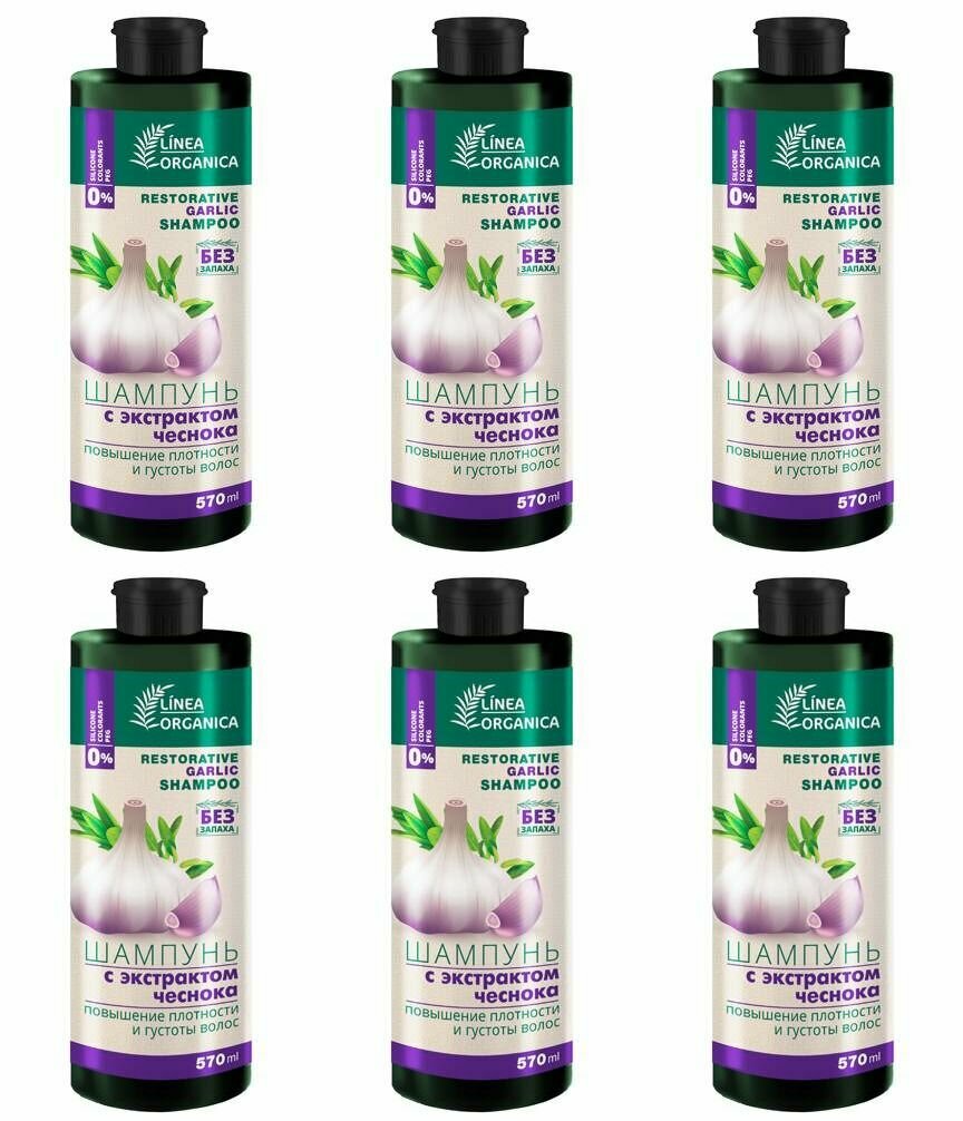 Vilsen Шампунь женский Organica с экстрактом чеснока, повышение плотности и густоты волос 570 мл, 6 шт