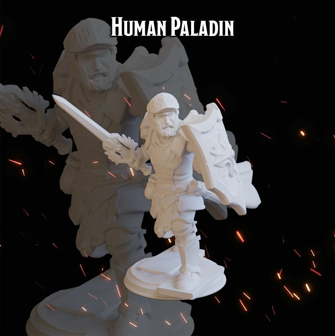 Паладин 45,1мм человек мужчина фигурки/миниатюры (ДнД, DnD, D&D, Dungeons & Dragons, Pathfinder, Подземелья и Драконы, Wargames)