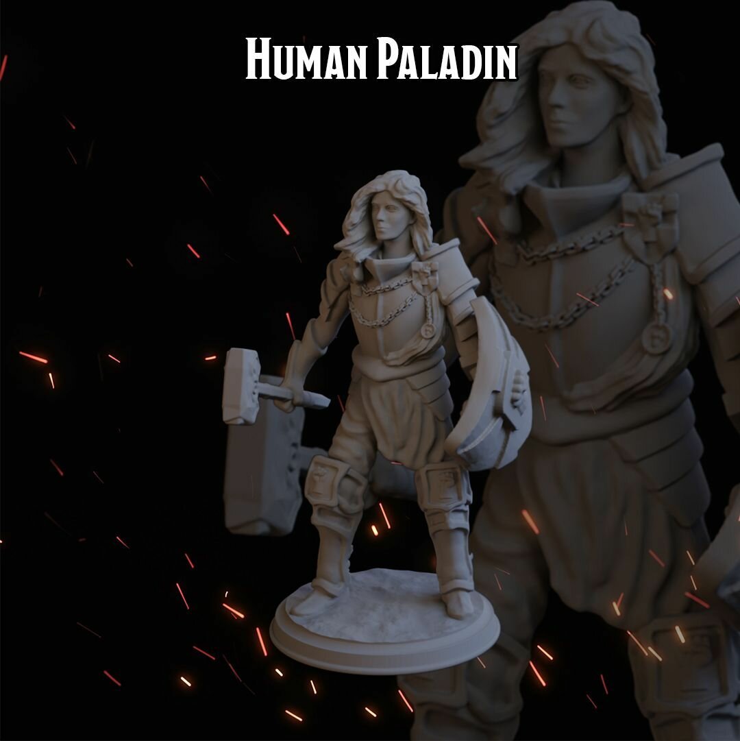 Паладин 48мм человек женщина фигурки/миниатюры (ДнД, DnD, D&D, Dungeons & Dragons, Pathfinder, Подземелья и Драконы, Wargames)