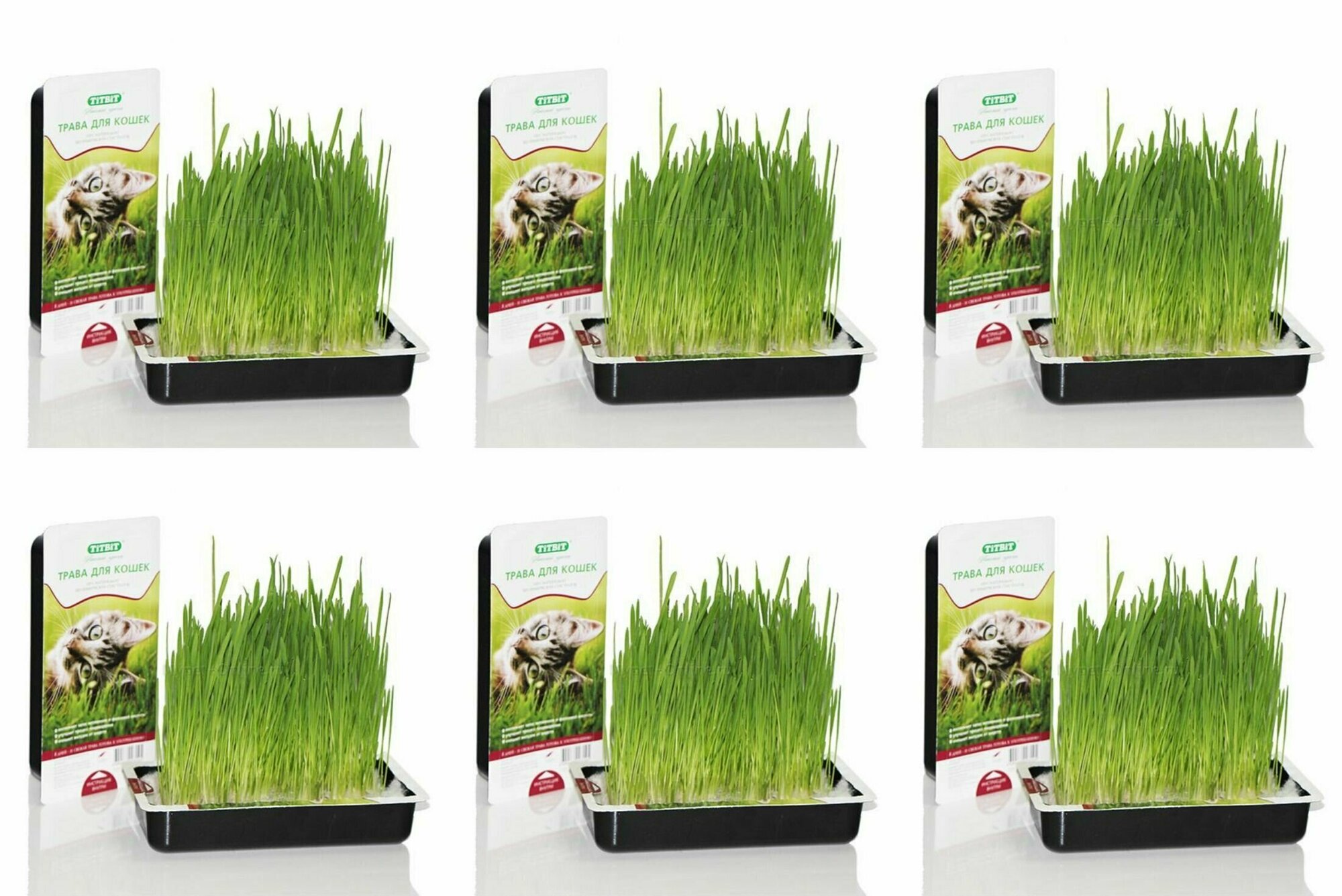 Titbit Трава для кошек,65 г,6 шт
