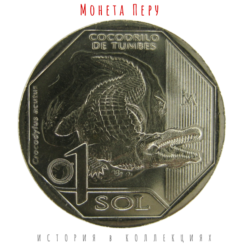 Перу 1 соль 2017 Американский острорылый крокодил серии Фауна Перу