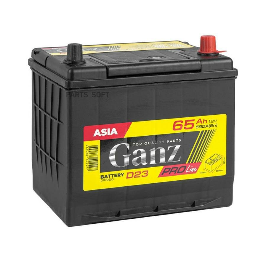 GANZ G1170650 Аккумулятор GANZ PRO-Line JIS 65 А/ч обратный R+ 230x173x220 D23 EN 590 А