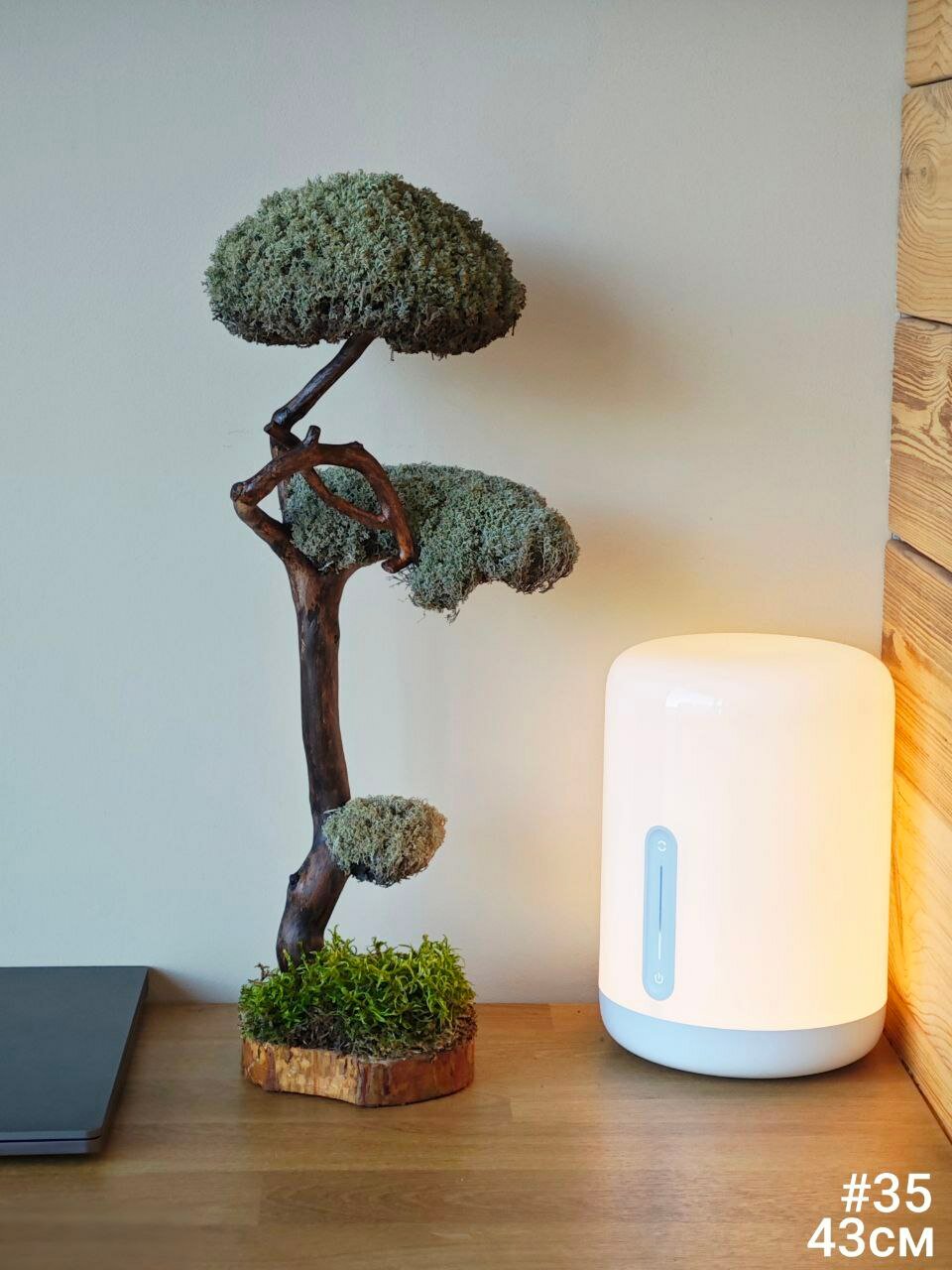 Дерево бонсай из цетрарии 43 см / Живое дерево / Дерево интерьерное / Дерево из Исландского мха/ Ручная работа/Декоративное комнатное дерево/ Оригинальный подарок мужчине, женщине, для дома /декор для кафе/ Сухоцвет / Уникальный подарок/ Декор интерьера/
