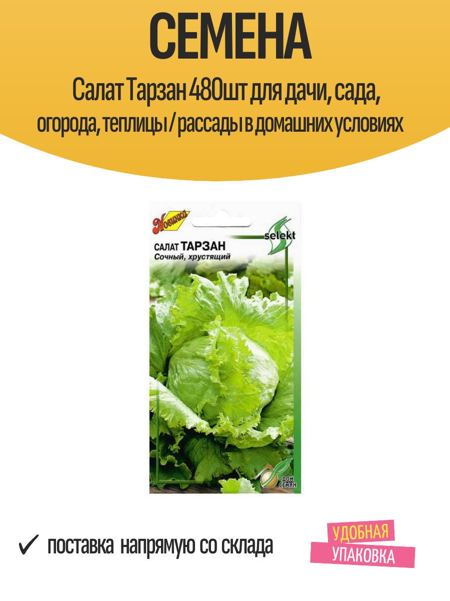 Семена Салат Тарзан 480шт для дачи, сада, огорода, теплицы / рассады в домашних условиях